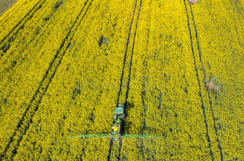 Tractor Spraying on the Field Stock Image - Image of biofuel, crop ...