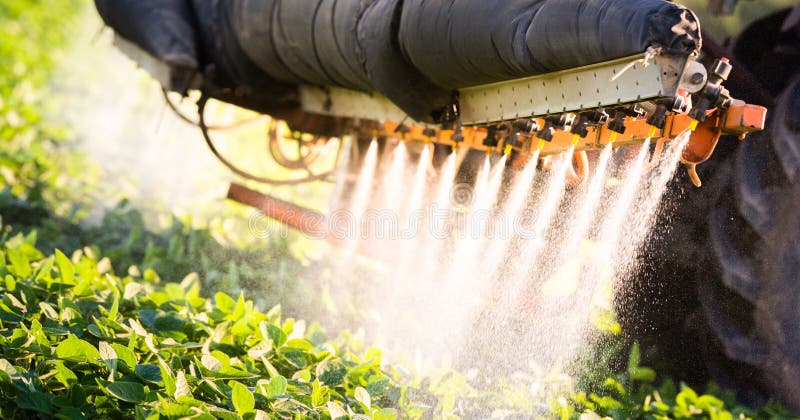 Tractor Spraying Soybean Field at Spring Stock Image - Image of ...