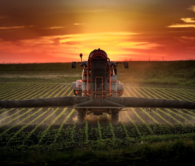 Tractor Spraying Soybean Field at Spring Stock Photo - Image of ...