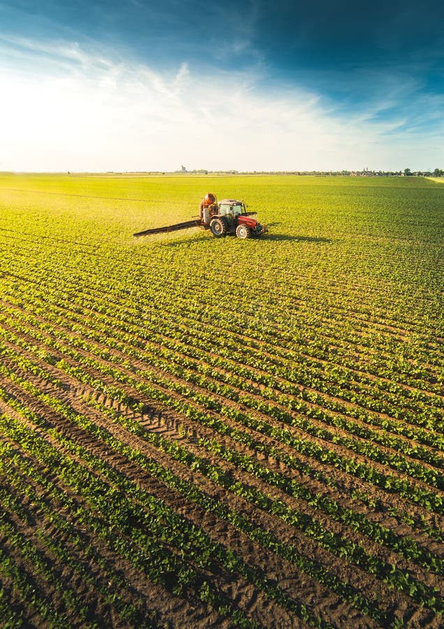 Tractor Spraying Soybean Field at Spring Stock Photo - Image of season ...