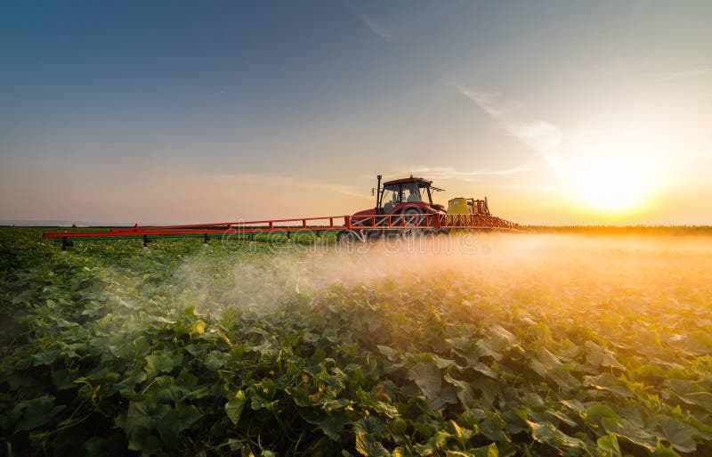 Tractor Spraying Vegetable Field at Spring Stock Photo - Image of ...