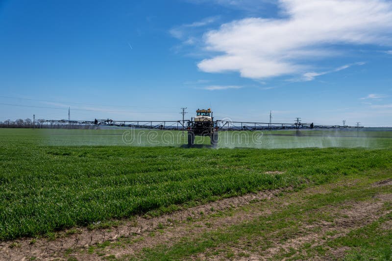 Tractor Spraying Wheat Field. Stock Photo - Image of landscape ...
