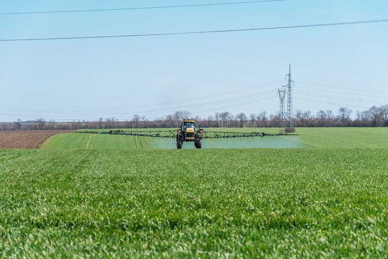 Tractor Spraying Wheat Field Stock Image - Image of cultivated, green ...