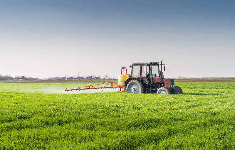 Tractor Spraying Wheat Field with Sprayer Stock Image - Image of farm ...