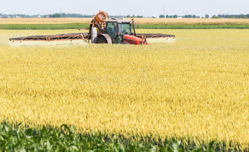 Tractor Spraying Wheat Field Stock Photo - Image of sprayer, spraying ...