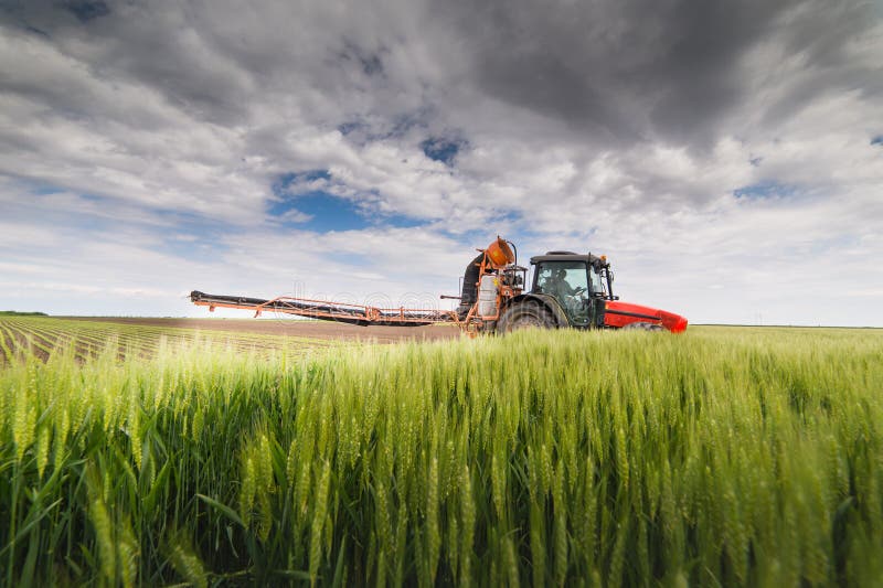 Tractor Spraying Wheat Field Stock Image - Image of season, agriculture ...