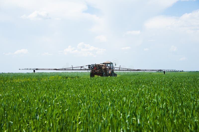 Tractor Spraying Wheat Field with Sprayer Stock Image - Image of spray ...