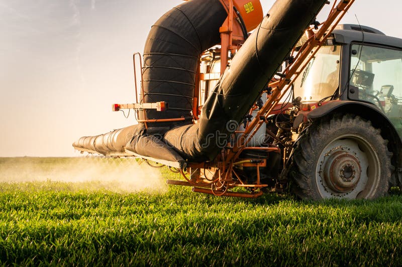 Tractor Spraying Wheat Field Stock Photo - Image of scene, grass: 300245252