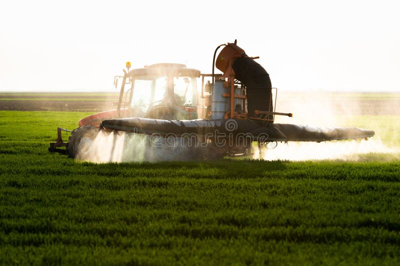 Tractor Spraying Wheat Field Stock Image - Image of fertilizer, farming ...