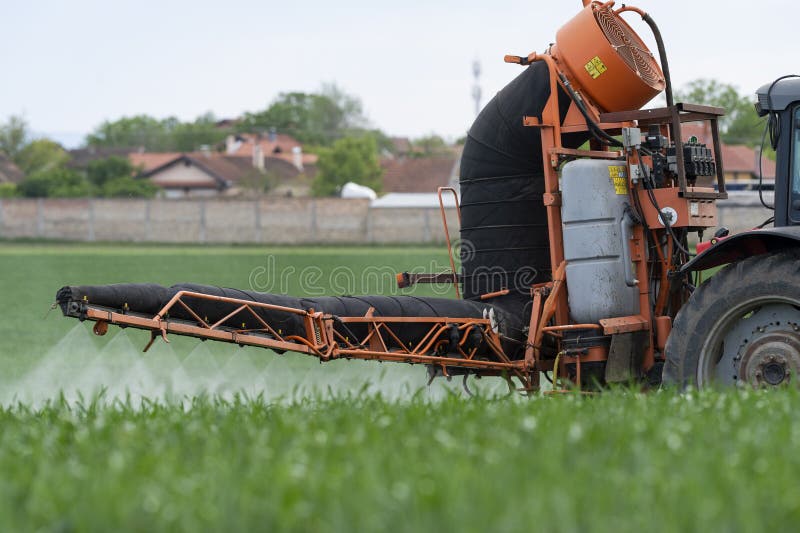 Tractor Spraying Wheat in Field Stock Photo - Image of machine ...