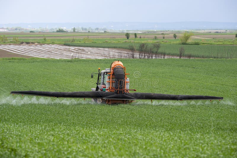 Tractor Spraying Wheat in Field Stock Photo - Image of wheat, green ...