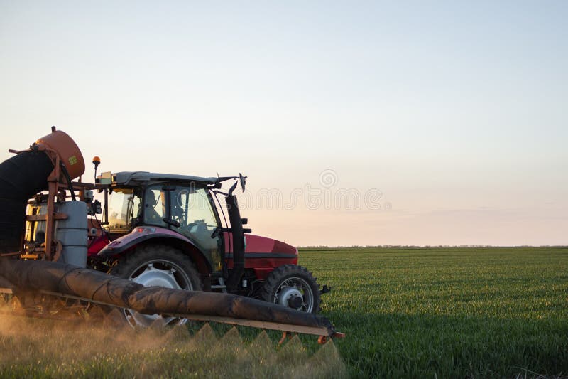 Tractor Spraying Wheat in Field Stock Photo - Image of agricultural ...