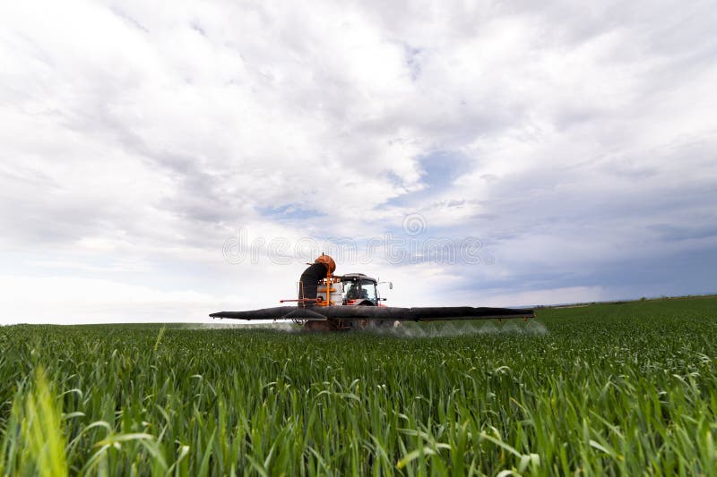 Tractor Spraying Wheat in Field Stock Image - Image of landscape, crop ...
