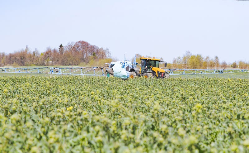 Spraying field stock photo. Image of herbicide, crop - 145878510