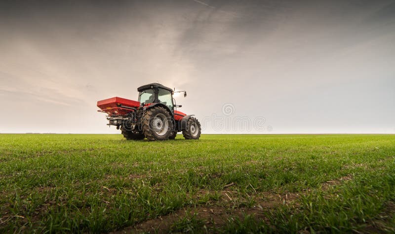 Tractor Spreading Artificial Fertilizers Stock Photo - Image of crops ...