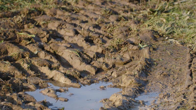 Tractor Tire Marks on Field Path Stock Footage - Video of background ...
