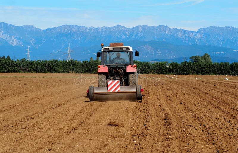 Tractor with a Towing Roller Compactor Machine Makes the Surface of the ...