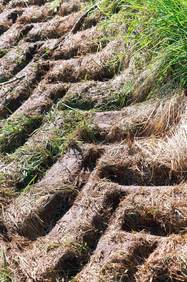 The Trace of the Tractor on the Ground, a Tractor Track, Even the Tread ...