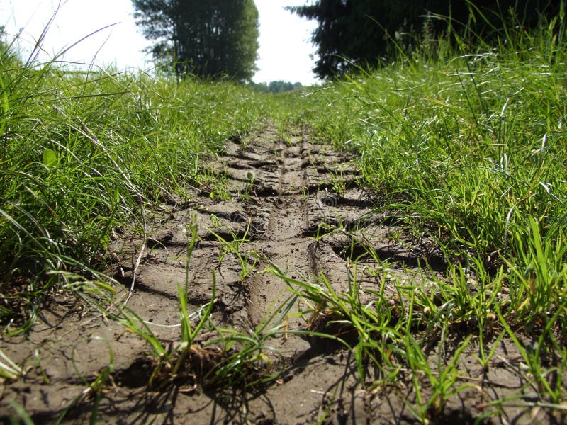 Tractor Tracks stock photo. Image of tractor, tracks, imprint - 873400