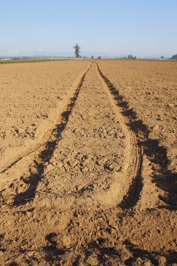 Tractor Tracks in Acreage stock image. Image of imprecision - 78317991