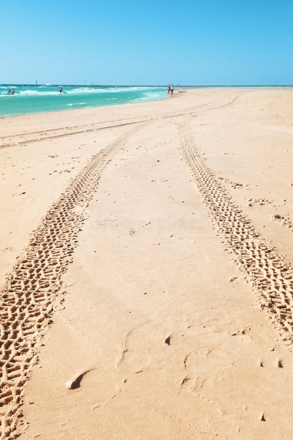 Tractor tracks stock image. Image of trace, beach, desert - 37251527