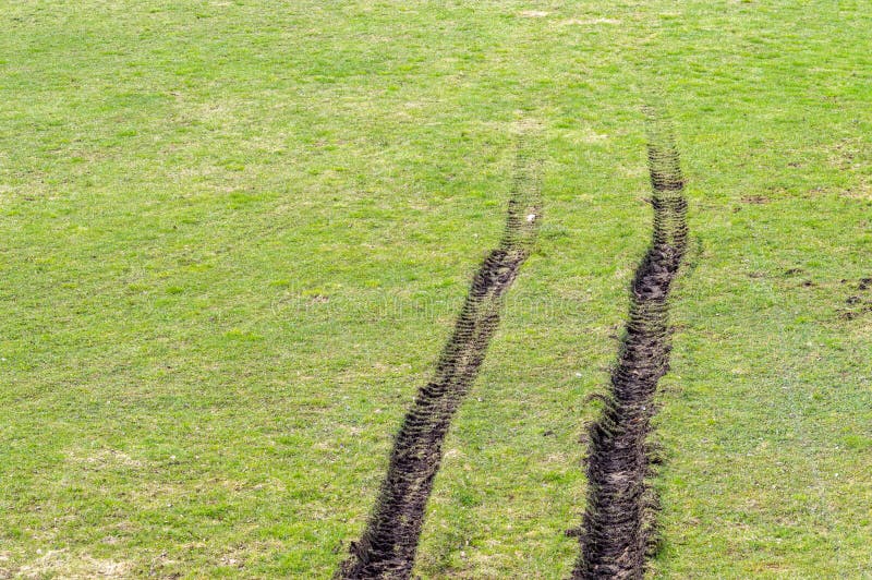 Tractor Tracks on the Grass Field Stock Photo - Image of nature ...