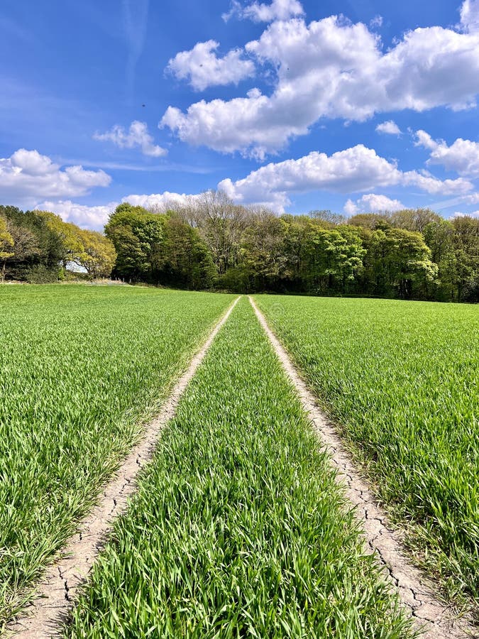 Farm Tracks stock image. Image of farming, agriculture - 246480413