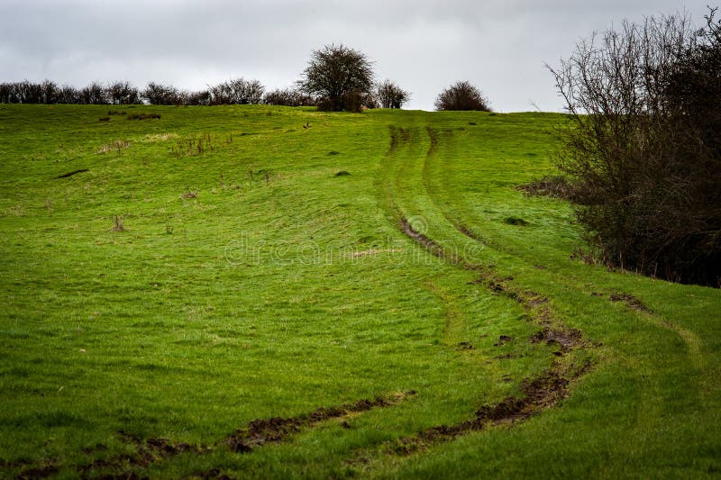 Tractor Tracks through Grazing Field Stock Photo - Image of environment ...