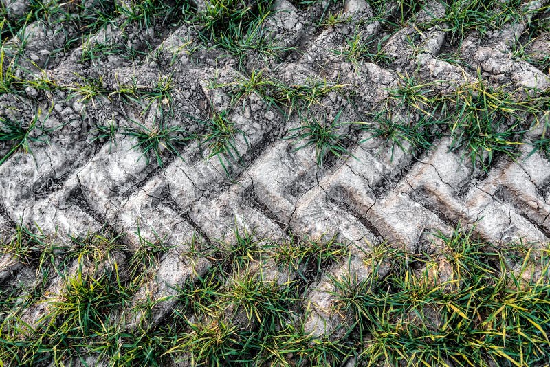 Tractor Tracks on the Ground Stock Photo - Image of exploration, land ...