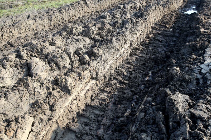 Tractor Tracks on Wet Ground. Damaged Fields Cultivated by Farmers ...
