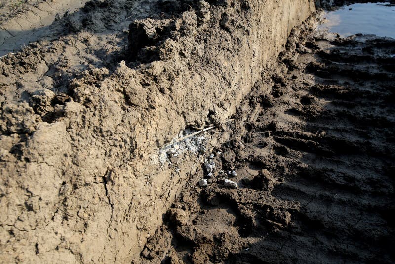 Tractor Tracks on Wet Ground. Damaged Fields Cultivated by Farmers ...