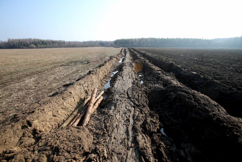Tractor Tracks on Wet Ground. Damaged Fields Cultivated by Farmers ...
