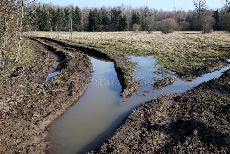 Tractor Tracks on Wet Ground. Damaged Fields Cultivated by Farmers ...