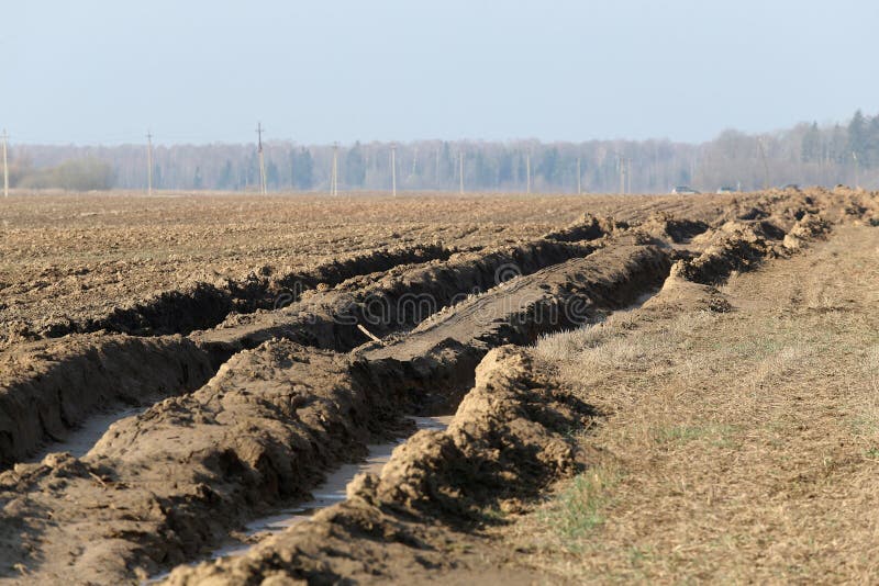 Tractor Tracks on Wet Ground. Damaged Fields Cultivated by Farmers ...