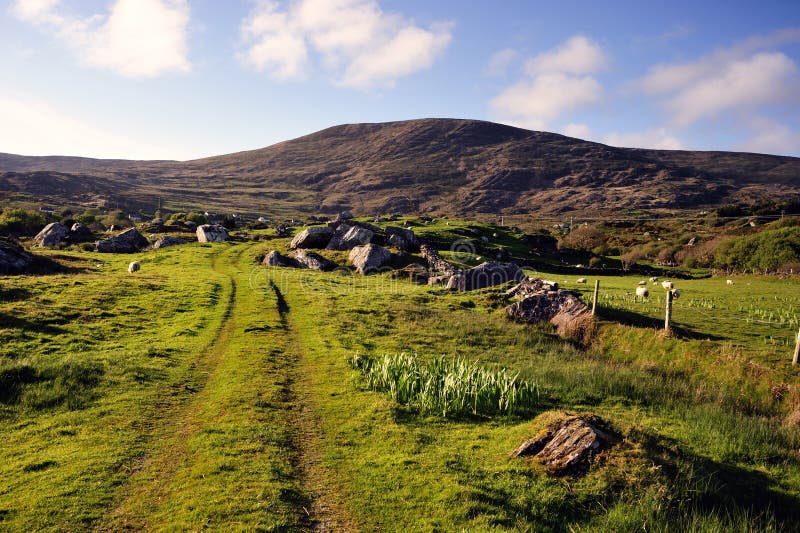 Tractor Trail stock image. Image of natural, nature, countryside - 9203291