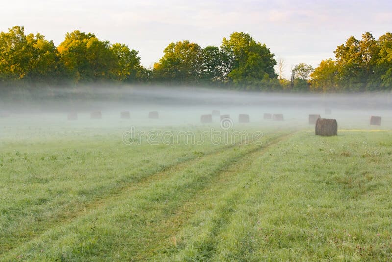 Tractor Tire Trail into the Farmer`s Field Stock Image - Image of ...