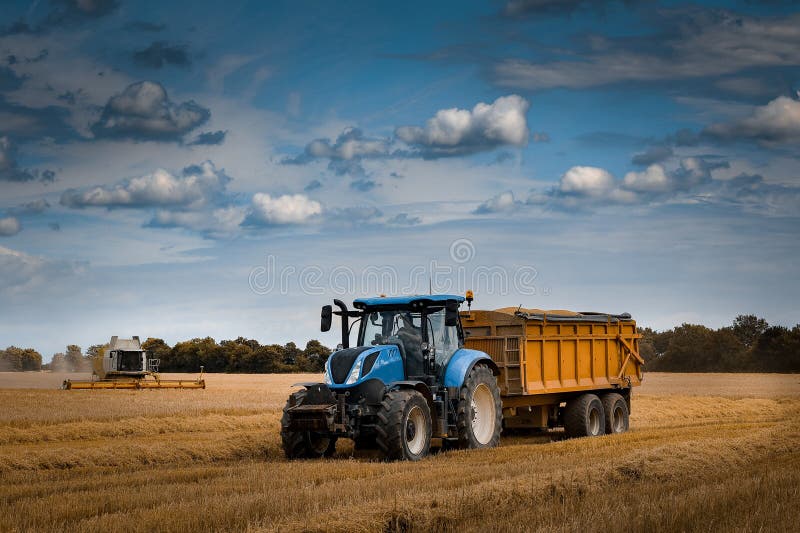 Tractor and Trailer Leading Cereal Out of a Barley Field. Stock Photo ...