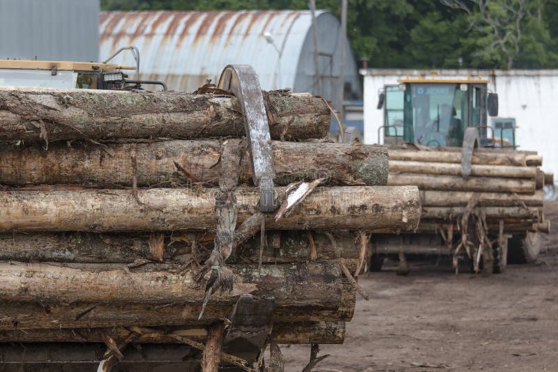 Tractor is Transporting a Stack of Logs Stock Image - Image of grip ...