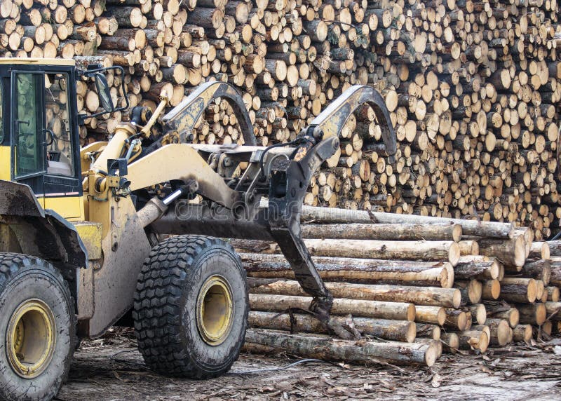 Tractor is Transporting a Stack of Logs Stock Photo - Image of natural ...