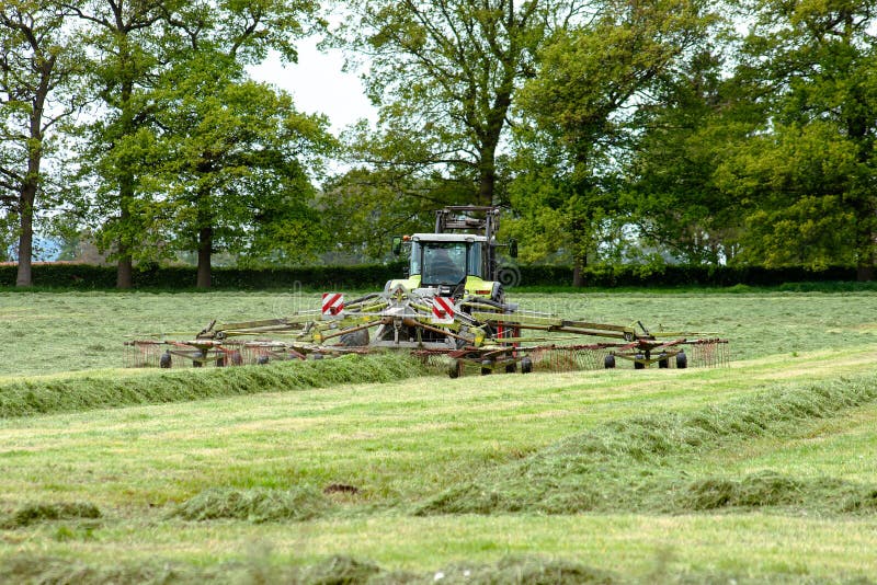 Tractor Turning Hay on the Meadow Stock Image - Image of tractor ...