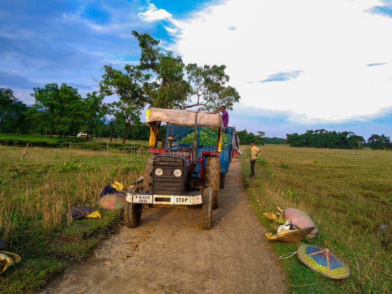 Tractor in the village editorial photo. Image of country - 55148396