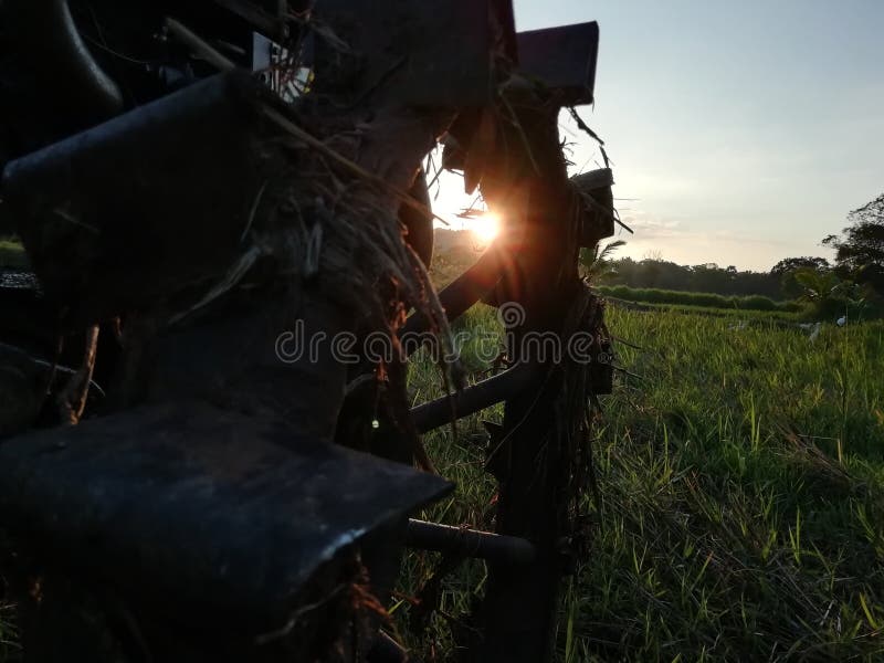 Tractor Wheel on the Paddy Field Stock Image - Image of tractor, wheel ...
