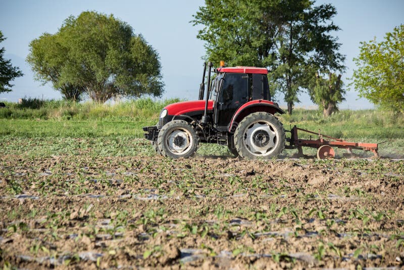 Tractor at work on a field stock image. Image of countryside - 210632607