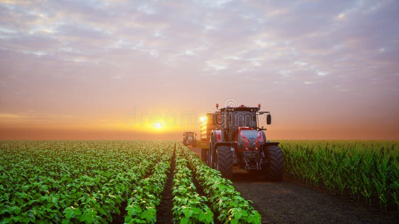 Tractor Working in Agricultural Plots at Sunset. 3d Render Stock ...