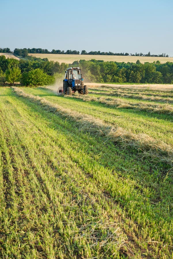 Tractor Working on the Farm Field Stock Photo - Image of plantation ...