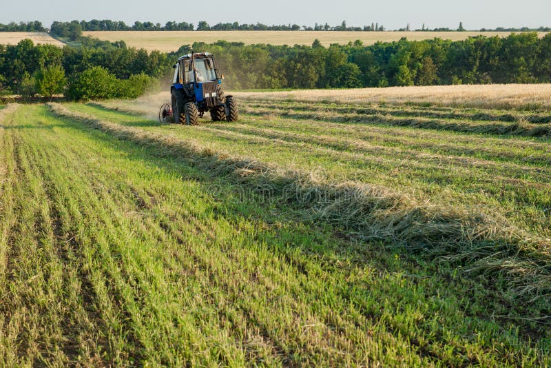 Tractor Working on the Farm Field Stock Photo - Image of farmer ...