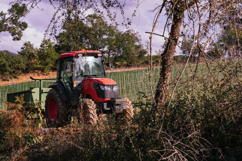 Silage with a Large Tractor Stock Image - Image of maize, rake: 268614465