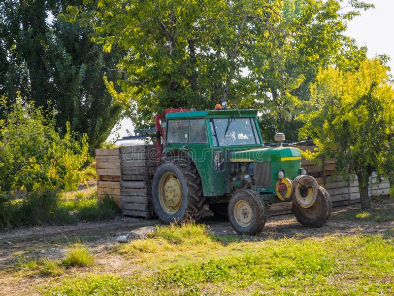 Old tractor and apples stock photo. Image of farming - 18009386
