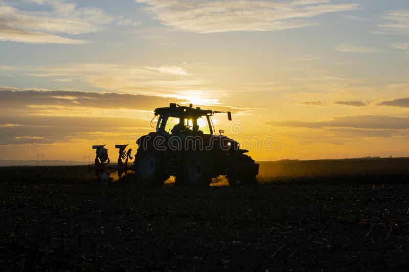 The Tractor is Working in the Field, Preparing the Soil in the Fall ...