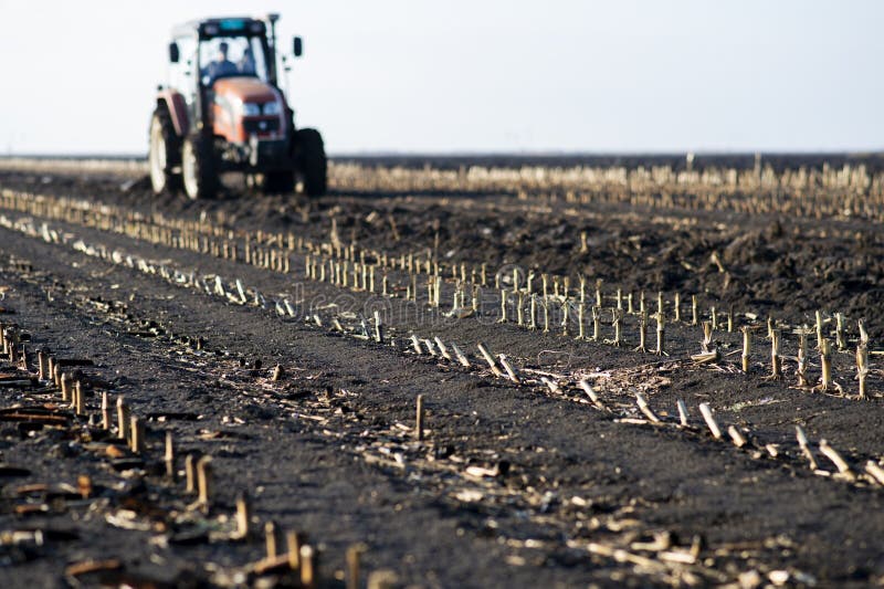 The Tractor is Working in the Field, Preparing the Soil in the Fall ...